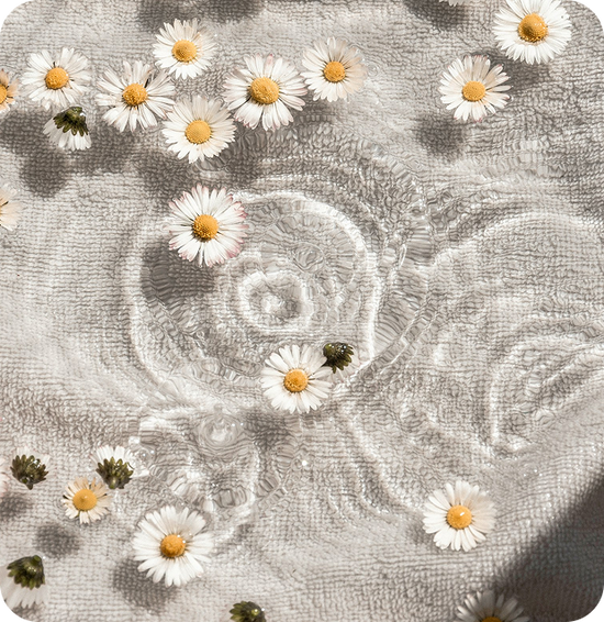 How to Create the Perfect Matcha Station at Home | Botano The Daily ...